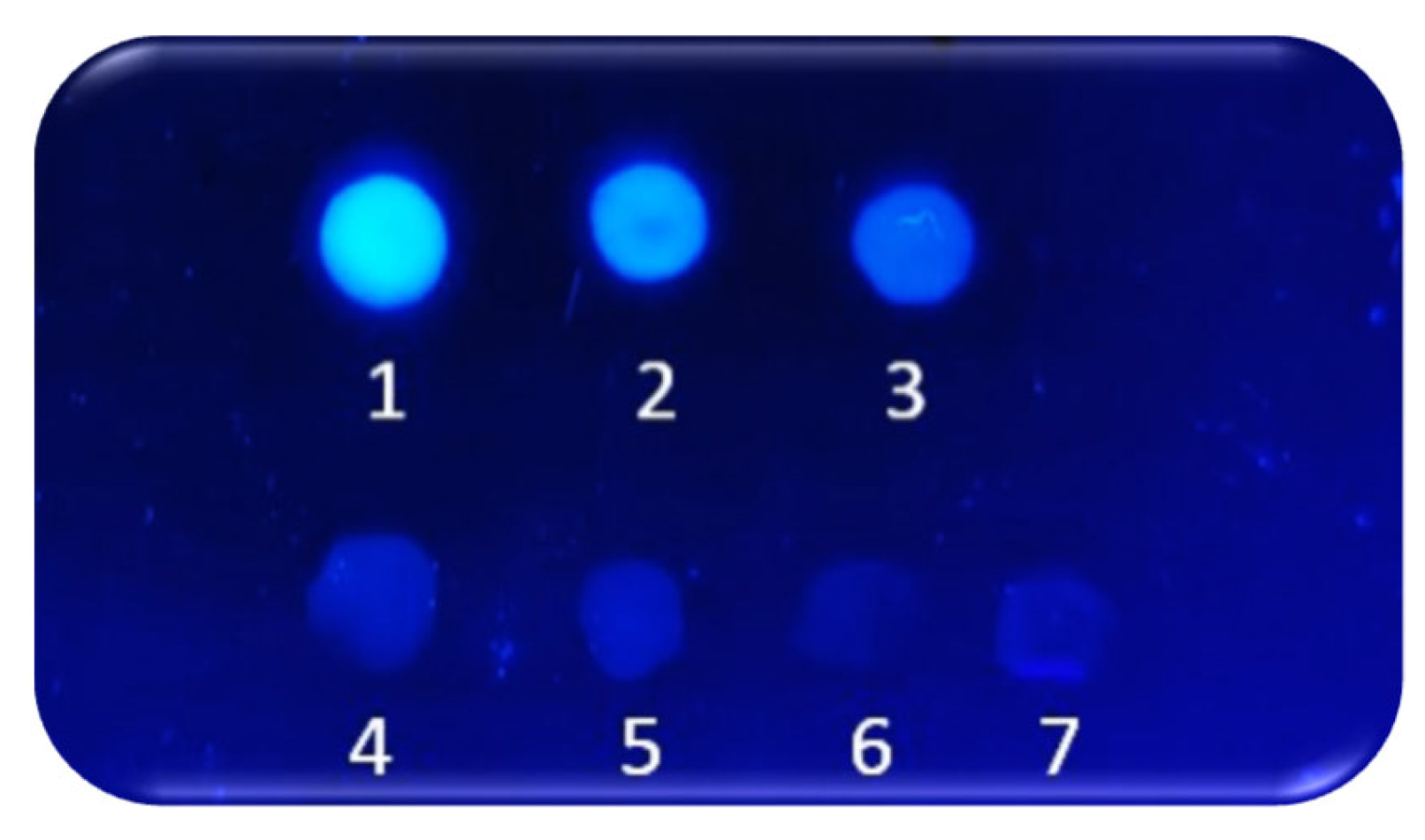 Regulation of Sialidase Biosynthesis by Control Mechanism Induction in ...