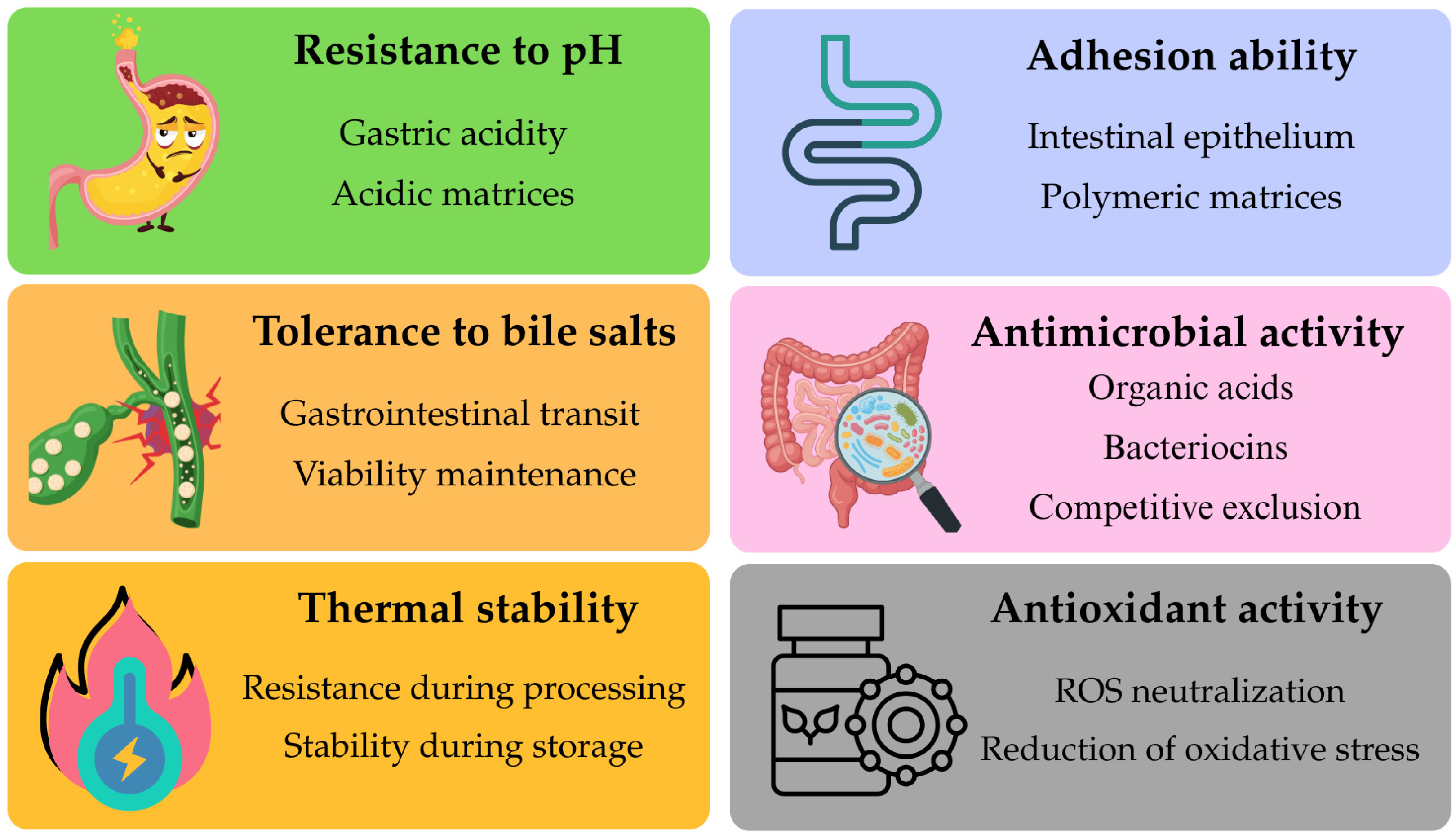 Application of Probiotic Bacteria in Active Packaging for the Food ...