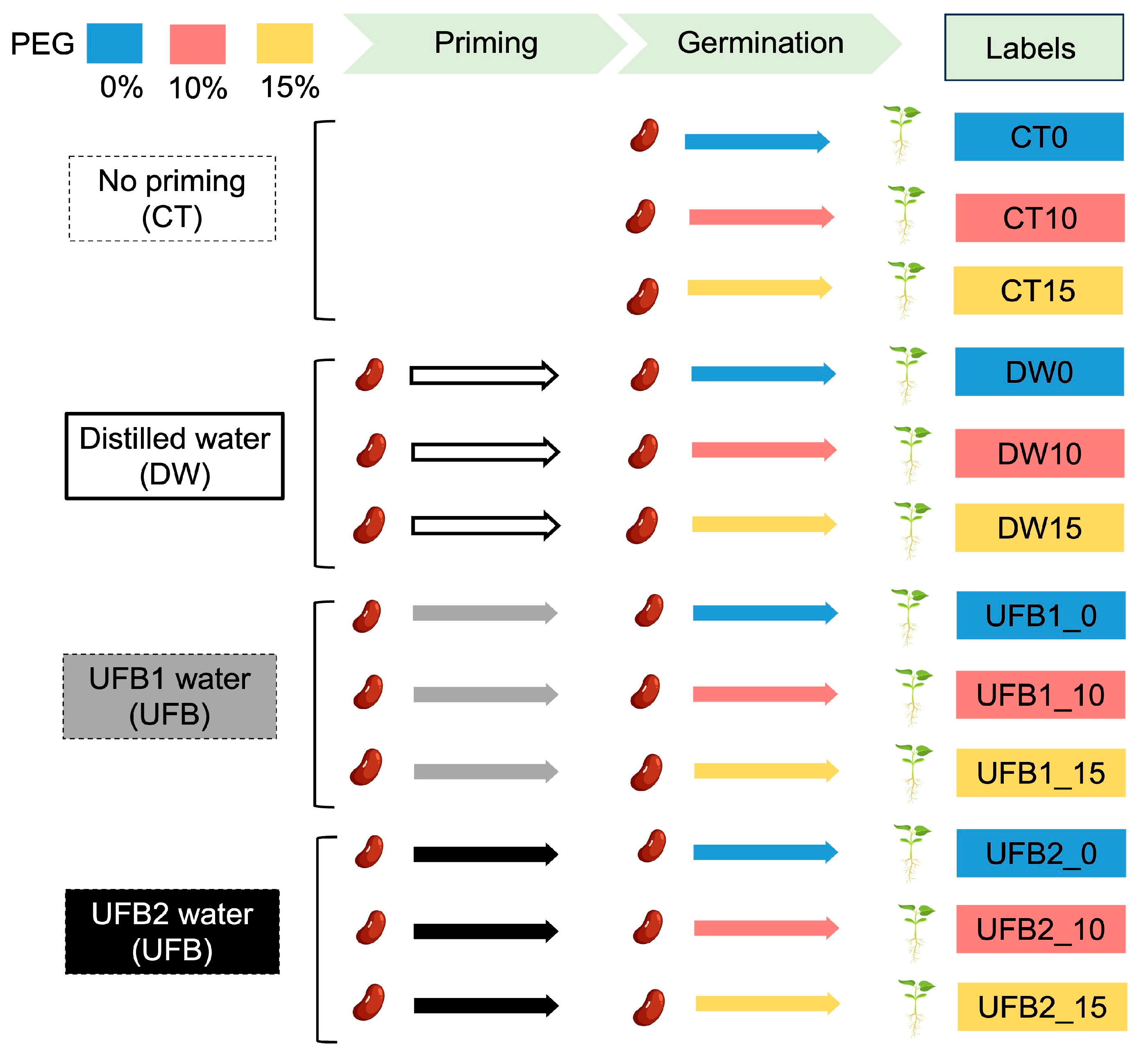 Ultrafine Bubble Priming Promotes Adzuki Bean (Vigna angularis ...