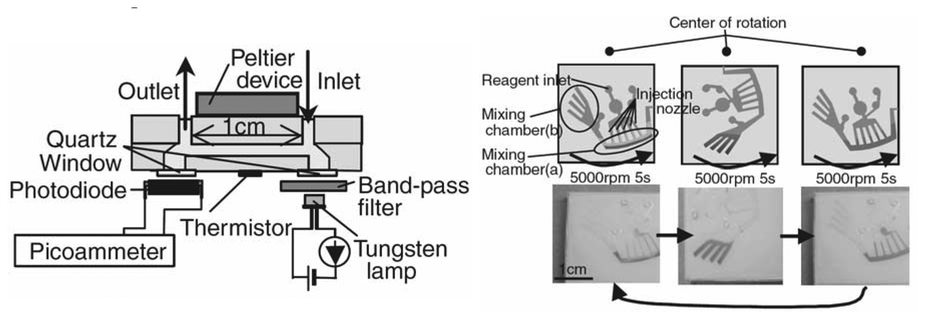 Sensors Free Full Text Aspartate Aminotransferase AST GOT And Sensors Free Full Text Aspartate Aminotransferase AST GOT And