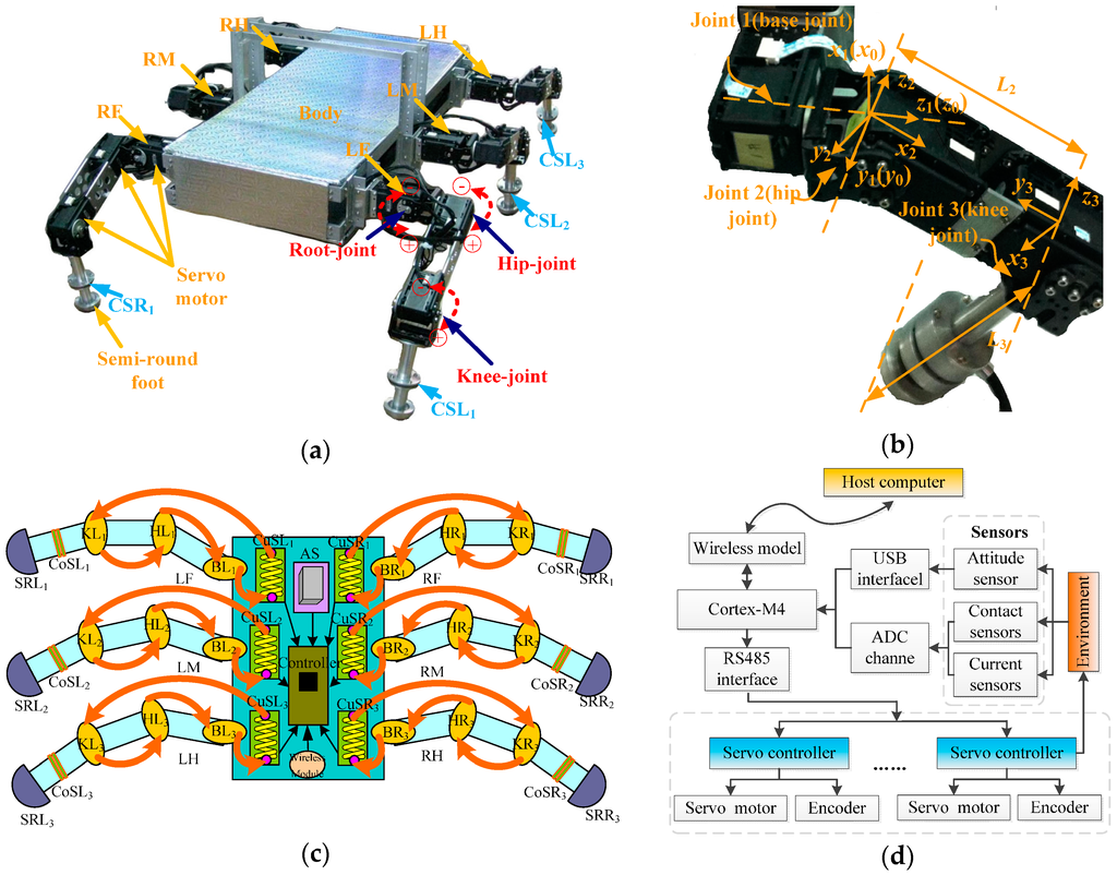 Trajectory Correction and Locomotion Analysis of a Hexapod Walking ...