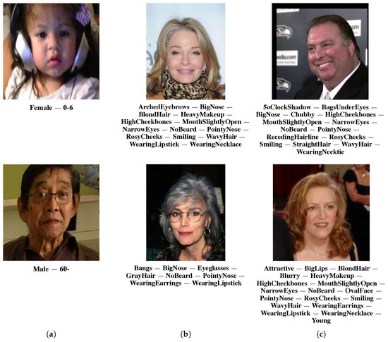 Fine-Grained Face Annotation Using Deep Multi-Task CNN