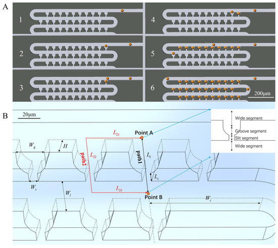 Time Sequential Single-Cell Patterning with High Efficiency and High ...