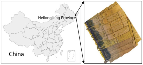 Use of Unmanned Aerial Vehicle Imagery and Deep Learning UNet to ...