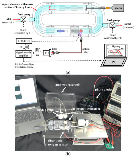 A Miniature Intermittent-Flow Respirometry System with a 3D-Printed ...