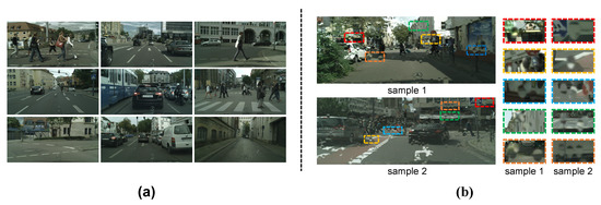 Sensors | Free Full-Text | Multi-Scale Shape Adaptive Network for ...