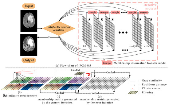 Intuitionistic Fuzzy C-Means Algorithm Based on Membership Information ...
