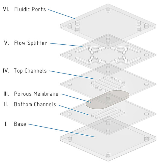 Rapid Manufacturing of Multilayered Microfluidic Devices for Organ on a ...