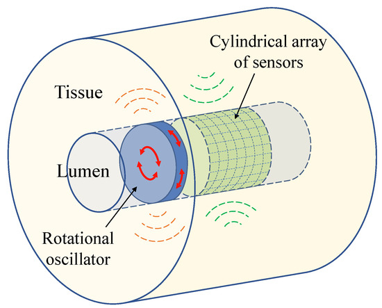 Wave Propagation in a Fractional Viscoelastic Tissue Model: Application ...