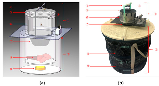 Identification of Flying Insects in the Spatial, Spectral, and Time ...