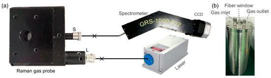 High-Sensitivity Raman Gas Probe for In Situ Multi-Component Gas Detection