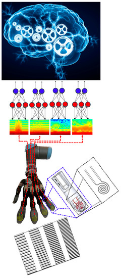 Hierarchical Tactile Sensation Integration from Prosthetic Fingertips ...