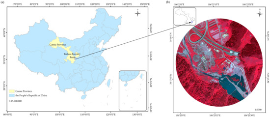 Sensors | Free Full-Text | Segmentation Scale Effect Analysis in the Object-Oriented Method of ...