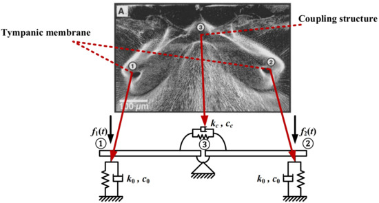Sensors | Free Full-Text | A High-Precision Algorithm for DOA Estimation Using a Long-Baseline ...