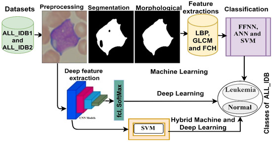 Multi-Method Diagnosis of Blood Microscopic Sample for Early Detection of Acute Lymphoblastic ...