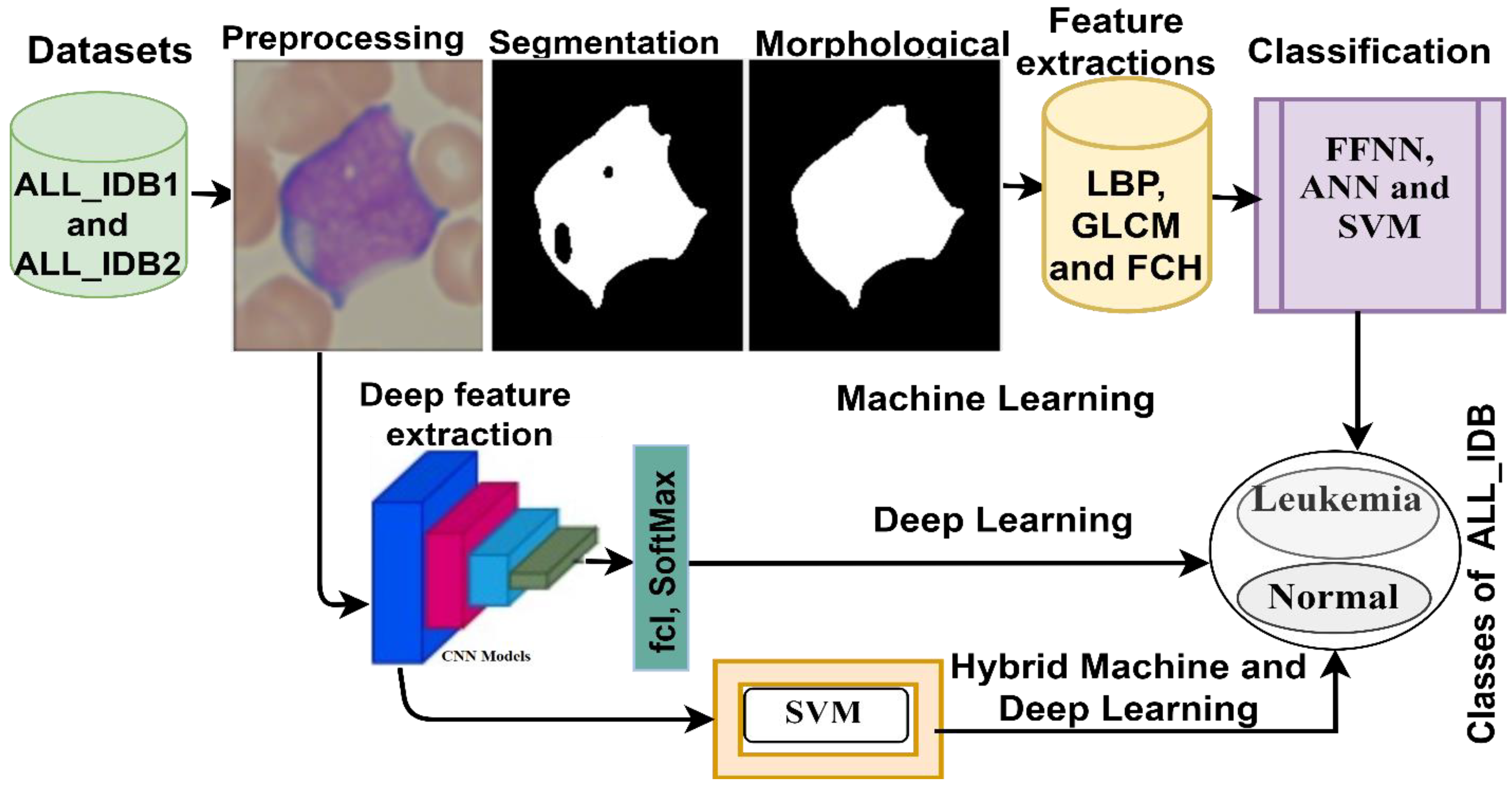 Sensors Free Full Text Multi Method Diagnosis Of Blood Microscopic Sensors Free Full Text Multi Method Diagnosis Of Blood Microscopic