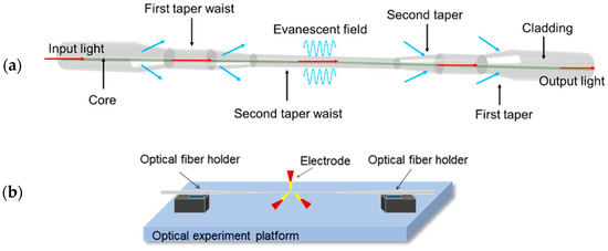 A Taper-in-Taper Structured Interferometric Optical Fiber Sensor for Cu2+ ion Detection