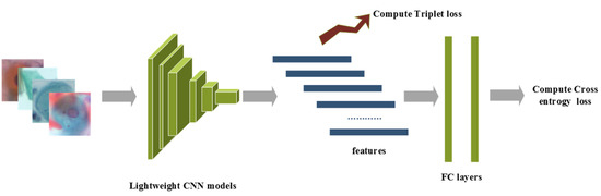Hybrid Loss-Constrained Lightweight Convolutional Neural Networks for ...