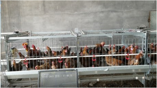 Feature Selection Model Based on IWOA for Behavior Identification of ...