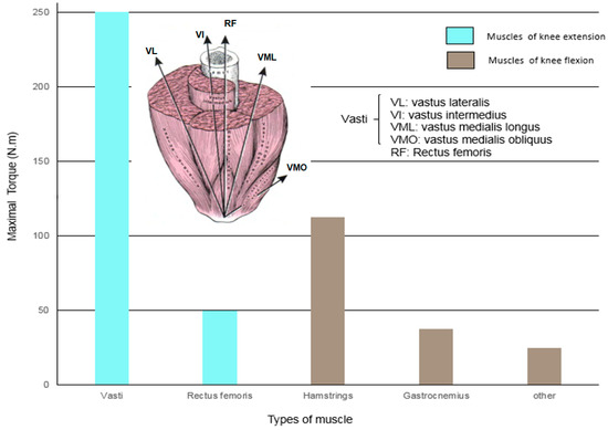 Exercise Condition Sensing in Smart Leg Extension Machine