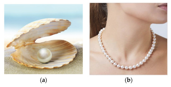 PDC: Pearl Detection with a Counter Based on Deep Learning