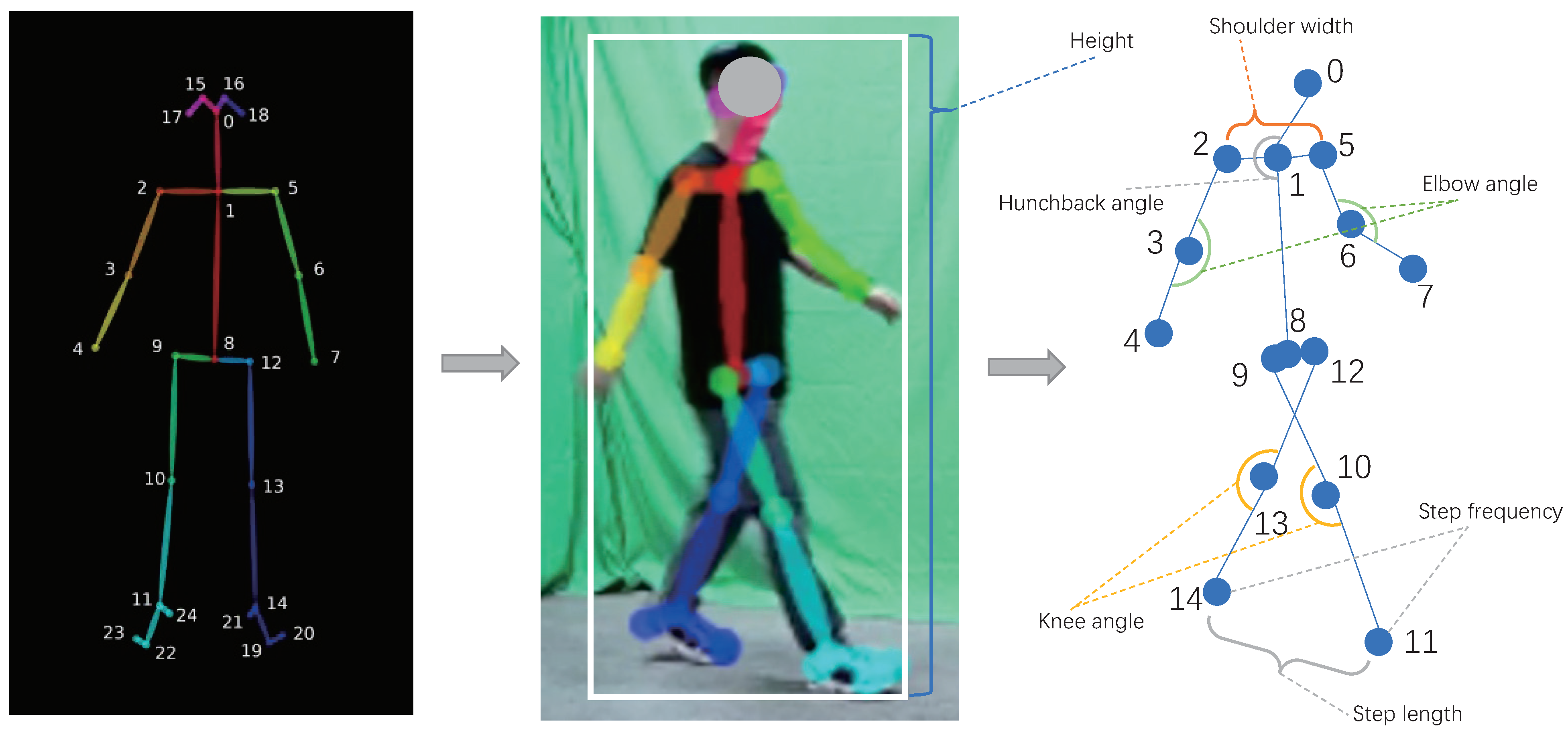 Gait Recognition by Combining the Long-Short-Term Attention Network and Personal Physiological ...