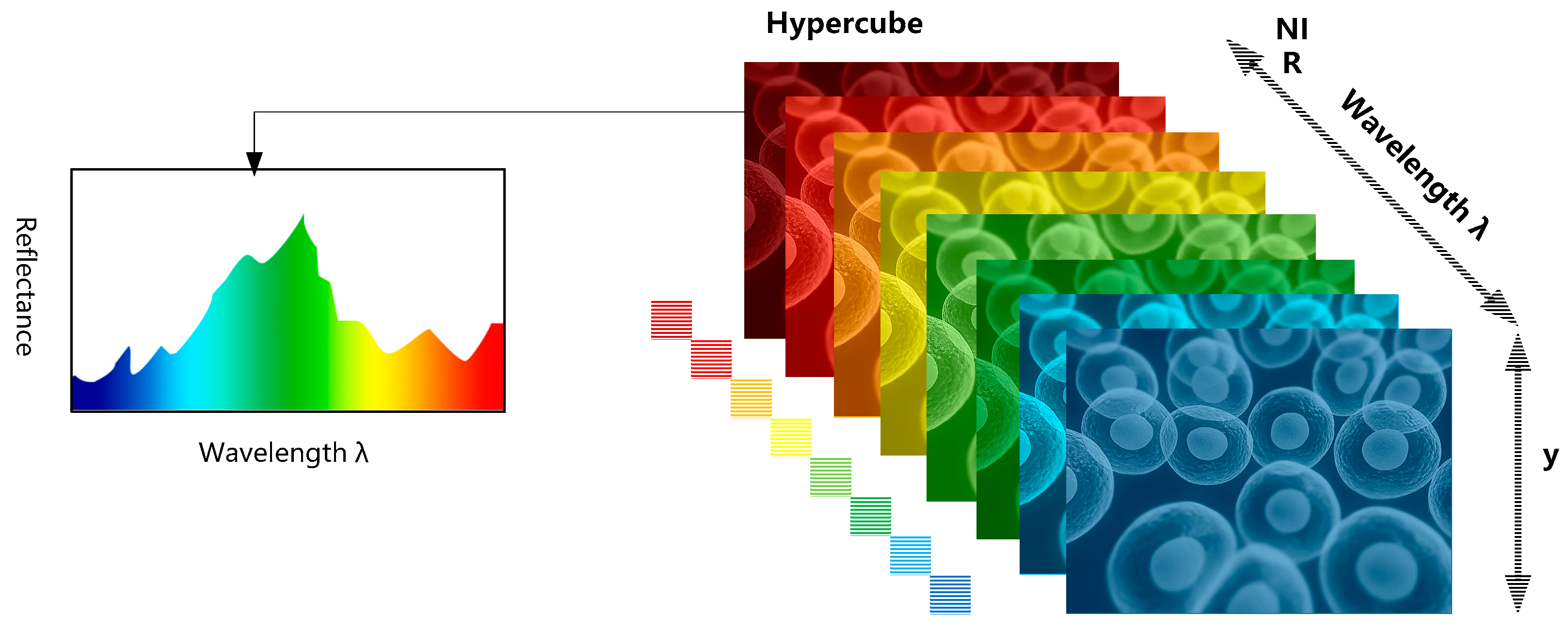 Sensors Free Full Text Deep Learning In Medical Hyperspectral Sensors Free Full Text Deep Learning In Medical Hyperspectral