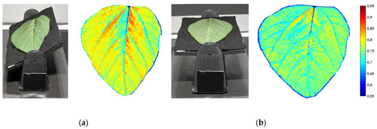 Elimination of Leaf Angle Impacts on Plant Reflectance Spectra Using ...