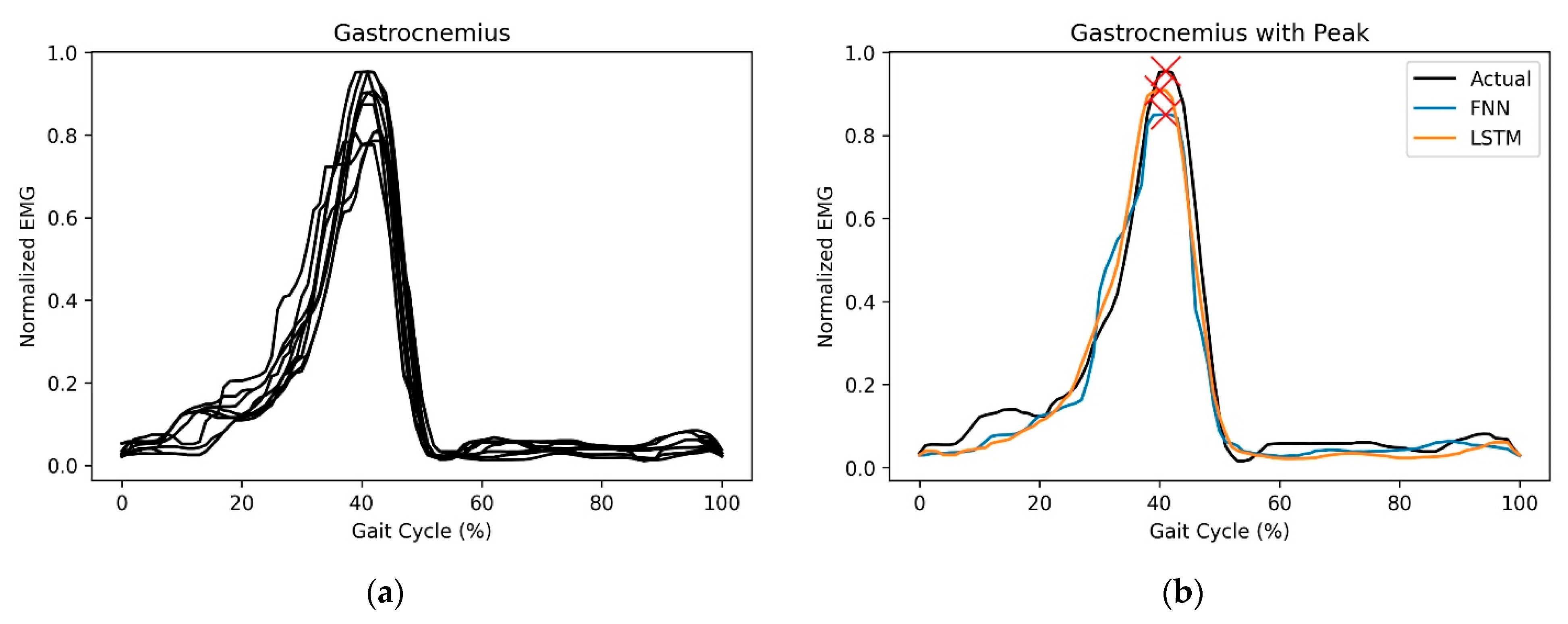Sensors Free Full Text Estimation Of Lower Extremity Muscle Sensors Free Full Text Estimation Of Lower Extremity Muscle