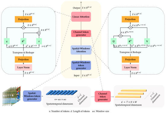 WLiT: Windows and Linear Transformer for Video Action Recognition