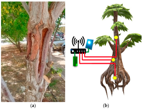 Moisture Detection in Tree Trunks in Semiarid Lands Using Low-Cost Non ...