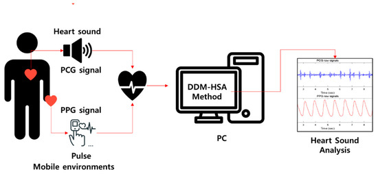 DDM-HSA: Dual Deterministic Model-Based Heart Sound Analysis for Daily ...