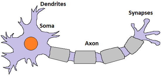 Overview of Spiking Neural Network Learning Approaches and Their Computational Complexities