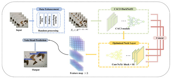 Sensors | Free Full-Text | Yolo-Pest: An Insect Pest Object Detection ...