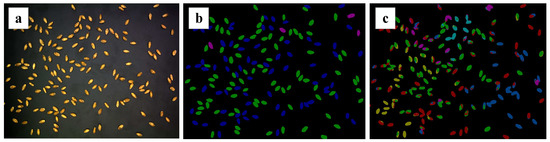 Segmentation of Unsound Wheat Kernels Based on Improved Mask RCNN