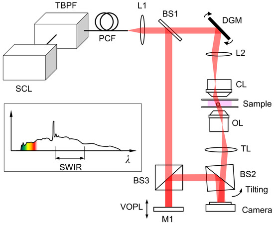 Sensors | Free Full-Text | Spectroscopic Microtomography in the Short ...