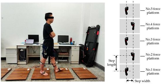 A Novel Gait Phase Recognition Method Based on DPF-LSTM-CNN Using ...