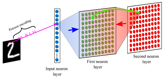 Unsupervised Spiking Neural Network with Dynamic Learning of Inhibitory Neurons
