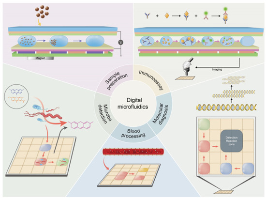 A Deep Reinforcement Learning Approach to Droplet Routing for Erroneous ...