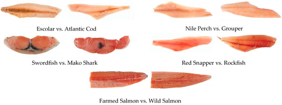 A Novel Machine-Learning Framework Based on a Hierarchy of Dispute ...