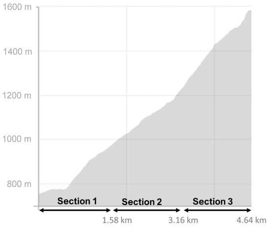 Sensors | Free Full-Text | Running Economy in the Vertical Kilometer