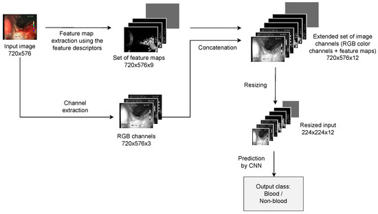 Visual Features for Improving Endoscopic Bleeding Detection Using Convolutional Neural Networks