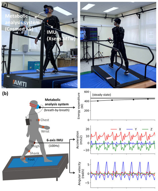 IMU-Based Energy Expenditure Estimation for Various Walking Conditions Using a Hybrid CNN–LSTM Model