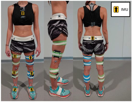 Relationship of Knee Abduction Moment to Trunk and Lower Extremity ...