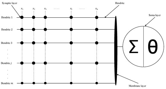Improving Classification Performance in Dendritic Neuron Models through ...