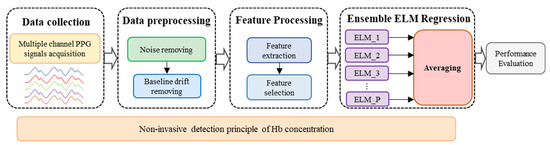 Ensemble Extreme Learning Machine Method for Hemoglobin Estimation ...