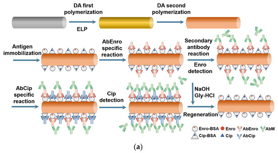 Efficient Sequential Detection of Two Antibiotics Using a Fiber-Optic ...
