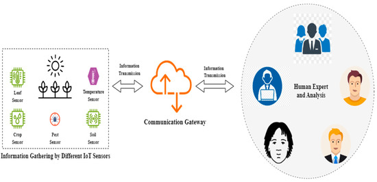 Privacy Centric Ai And Iot Solutions For Smart Rural Farm Monitoring