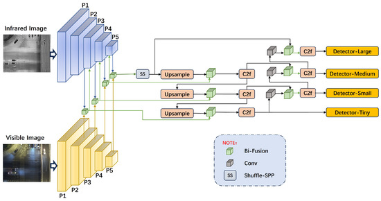 IV-YOLO: A Lightweight Dual-Branch Object Detection Network