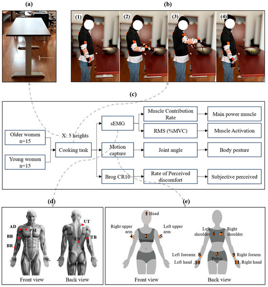 Effects of Kitchen Cooking Height on Upper Limb Muscle Activation ...